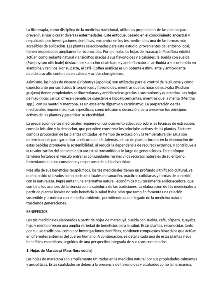 Tés Medicinales: Beneficios y Preparación | PDF | Té | café