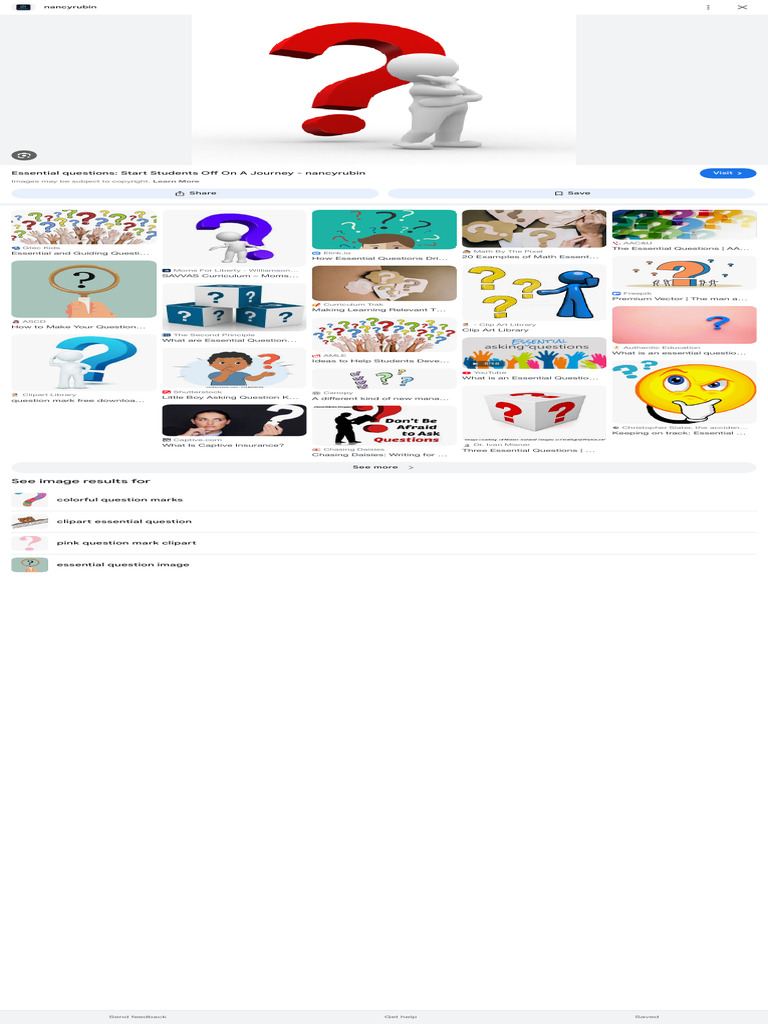 Essential Question - Google Search | PDF | New Media