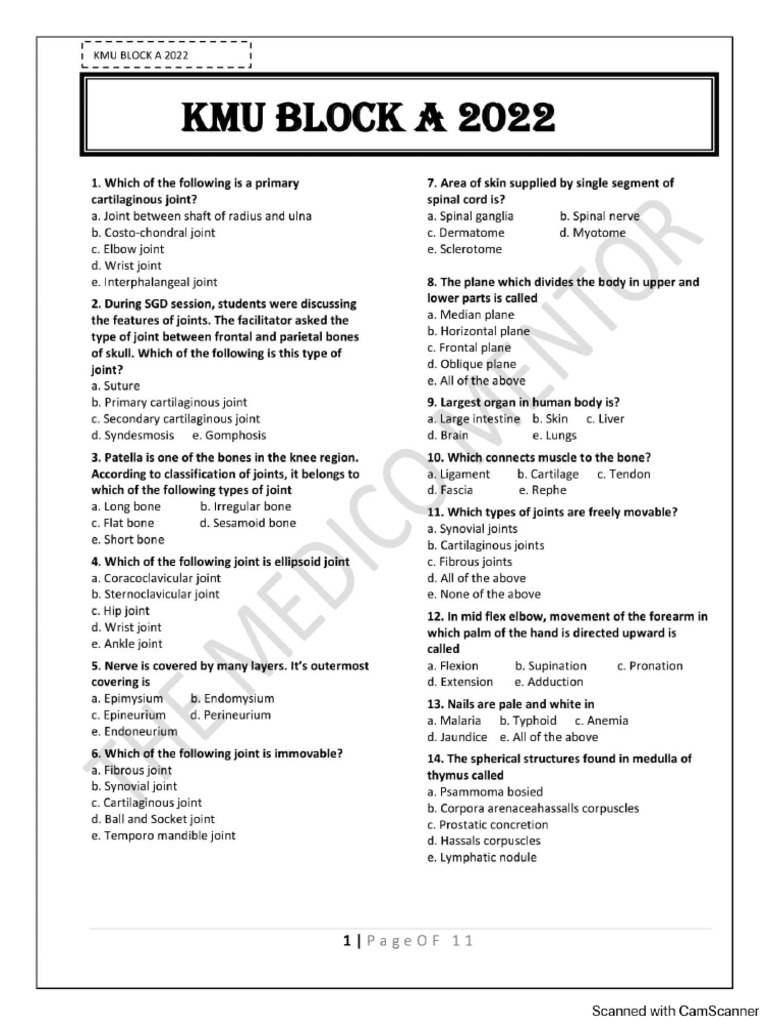 KMU 2022 PAPER A With KEY | PDF