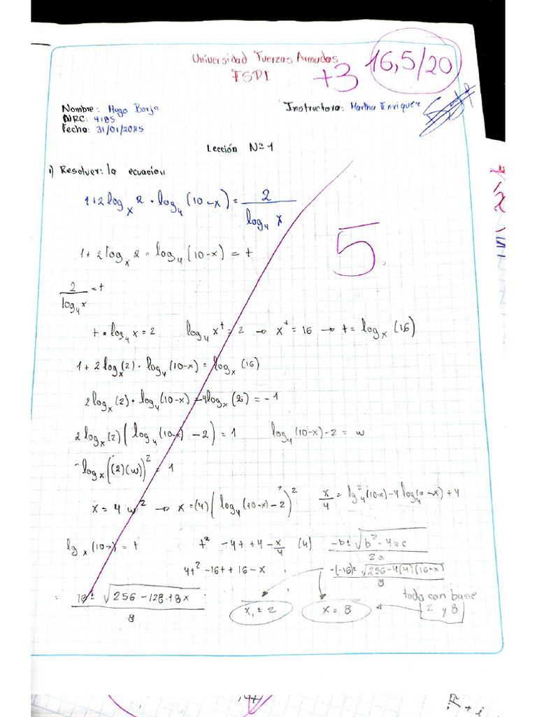 Lección 1 Álgebra P2 | PDF