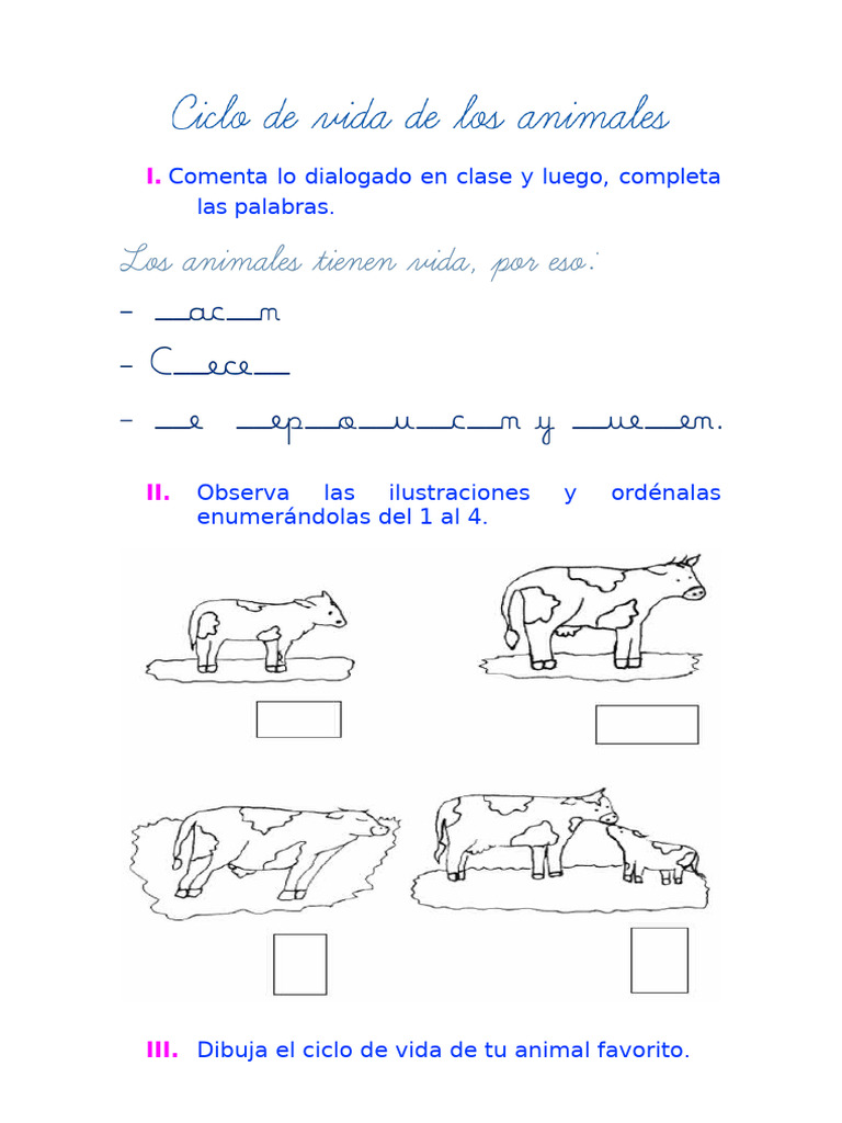 ciclo de vida de los animales fichas | PDF