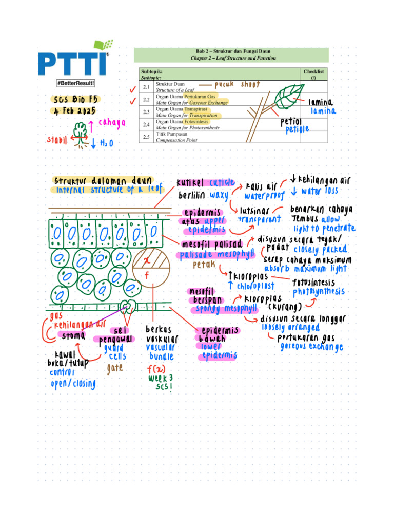 SCS BIO F5 4.2.2025 | PDF | Photochemistry | Organisms