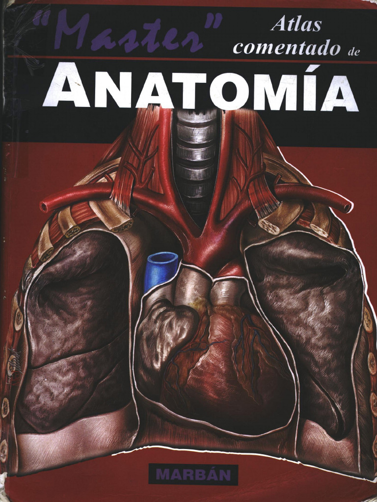 Master Atlas Comentado de Anatomia Marban | PDF