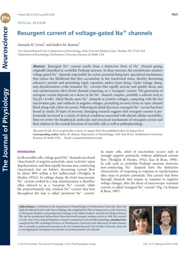 Indira M 2014 (Resurgent Current of Voltage-Gated Na+ Channels) | PDF ...