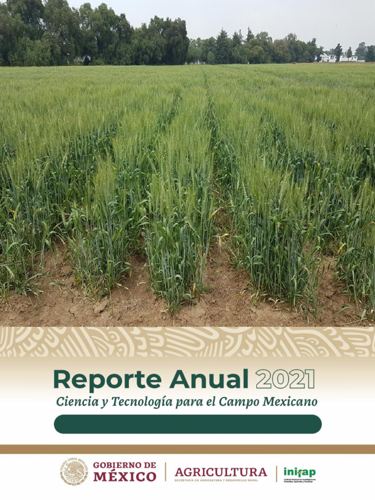REPORTE ANUAL CIRCE Estado de M Xico | PDF | Agricultura | México