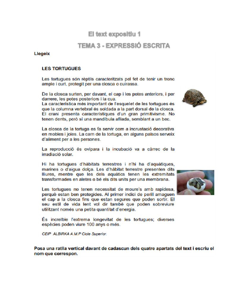 Expressió Escrita - Tema 3 - El Text Expositiu | PDF
