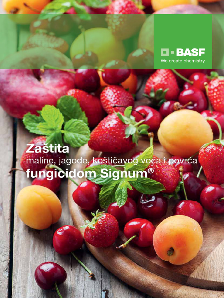 brosura-signum-2016 | PDF