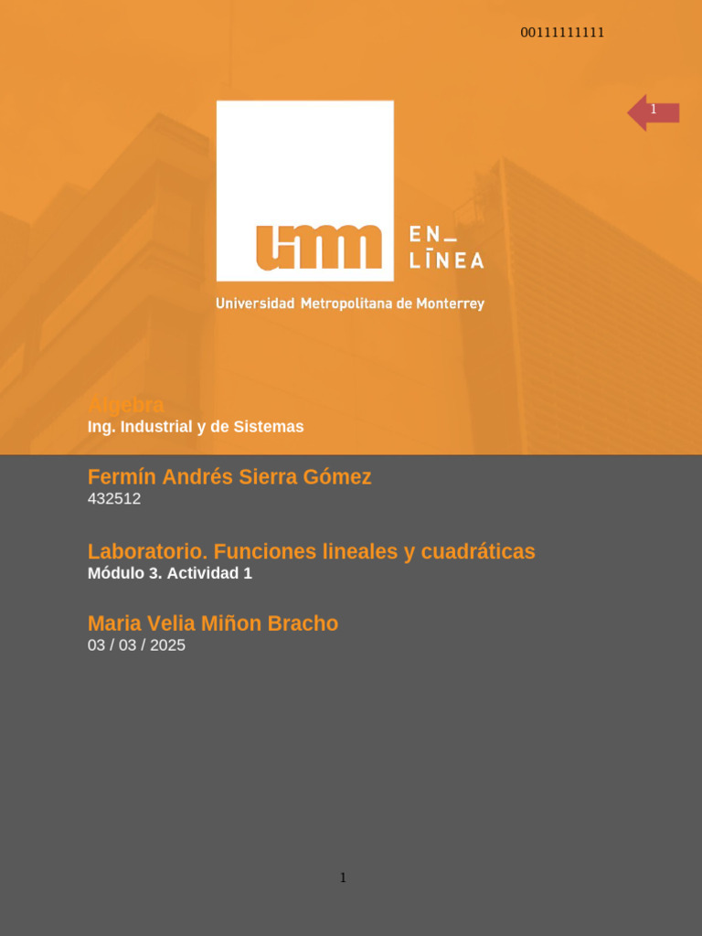 Módulo 3. Actividad 1. Laboratorio. Funciones Lineales y Cuadráticas ...