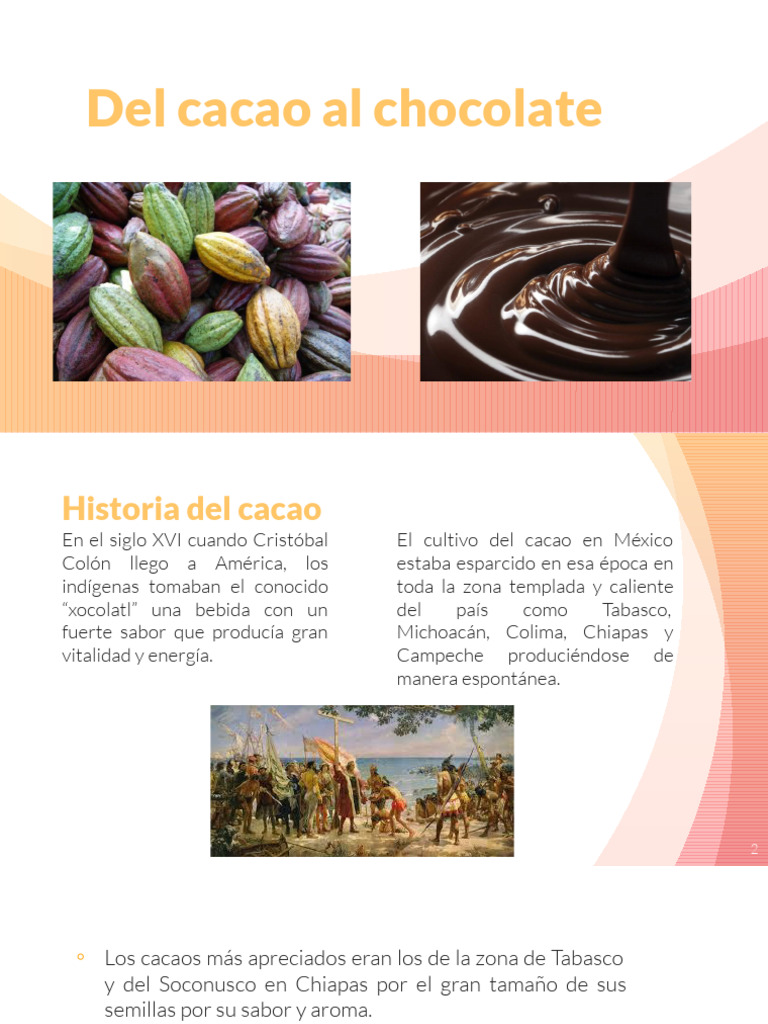 Historia y Proceso del Cacao | PDF | Chocolate | Sólidos de cacao