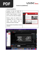 Tutorial Acceso Blackboard UVM | PDF