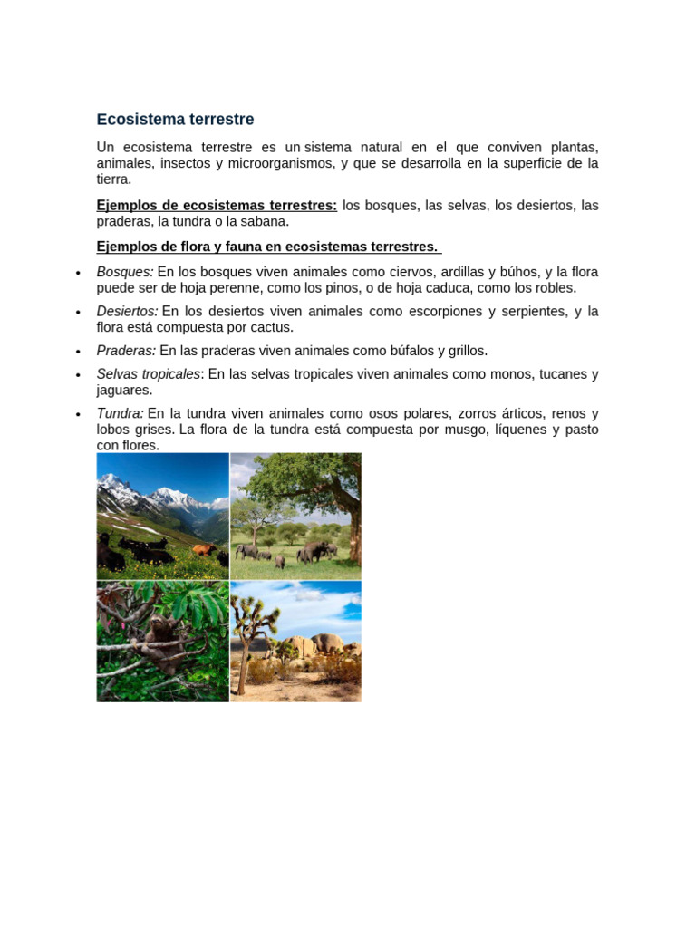 Ecosistema terrestre | PDF