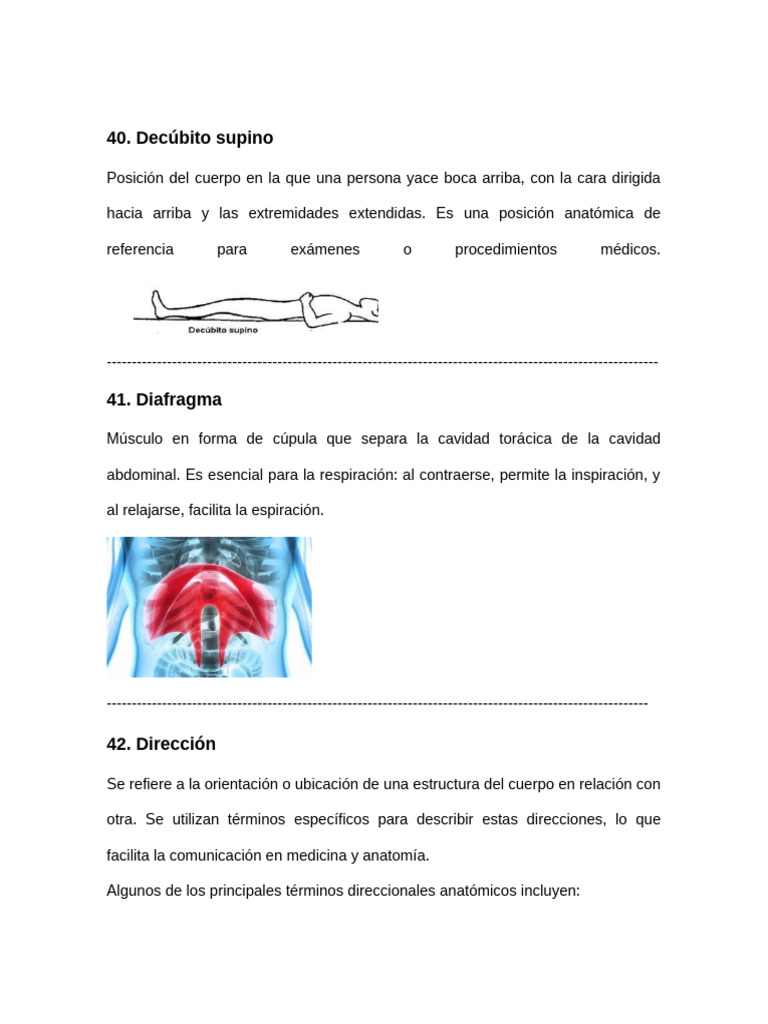 Terminos Anatomicos | PDF | Términos anatómicos de ubicación | Articulación