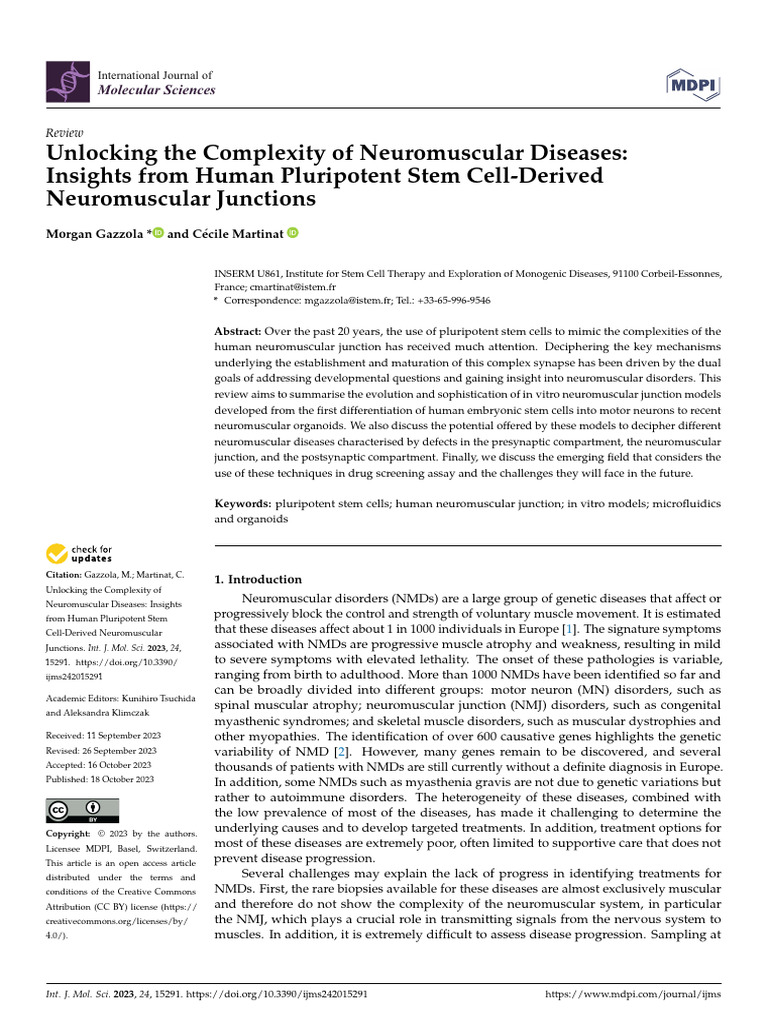 Neuromuscular Diseases: Stem Cell Insights | PDF | Neuromuscular ...