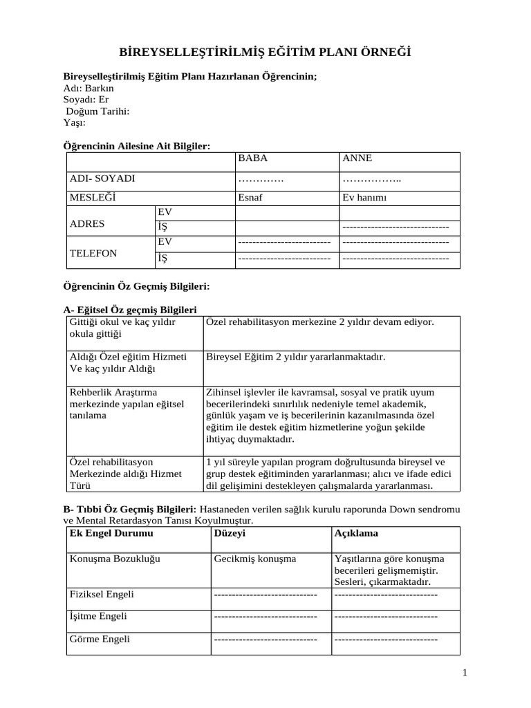 Bireysel Egitim Plan Ornegi 3 | PDF