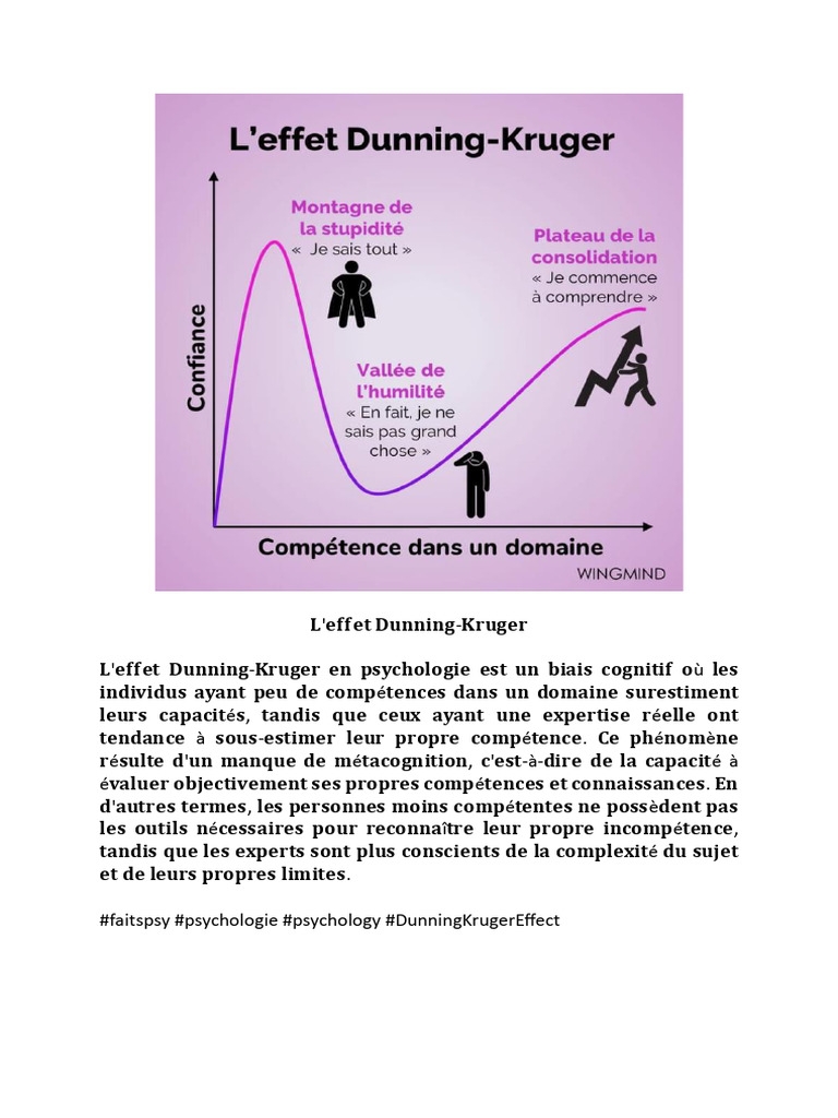 L Effet Dunning Kruger | PDF