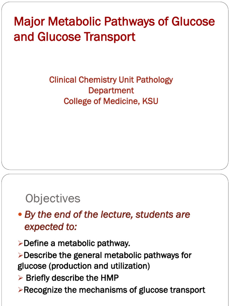 L11) Major metabolic pathways of glucose | PDF | Glycolysis | Metabolic ...