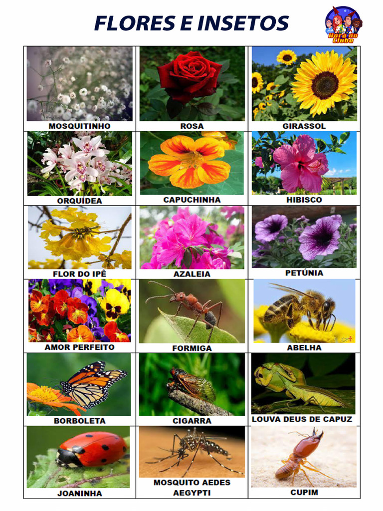 arquivo-flores-e-insetos-regiao-sul-de-sao-paulo-e-norte-do-parana | PDF