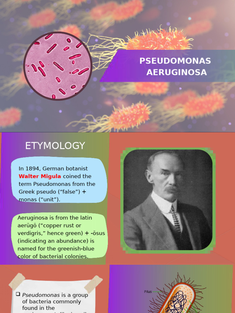 Pseudomonas Aeruginosa | PDF | Pseudomonas Aeruginosa | Medical Specialties