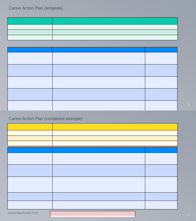 Career Action Plan Template and Example | PDF