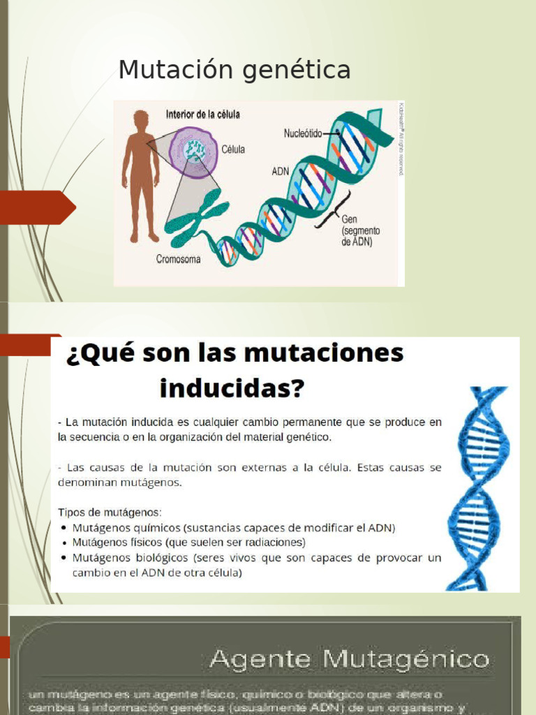 Mutacion Humana - Genetica | PDF