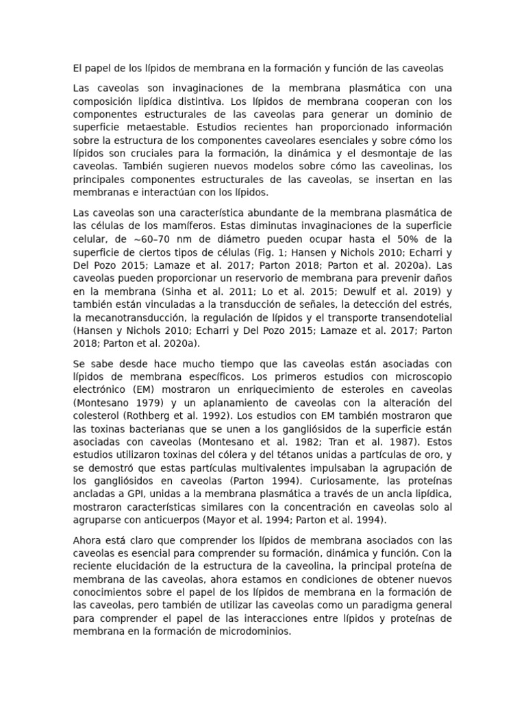 Lípidos y formación de caveolas | PDF | Membrana biológica | Lípido