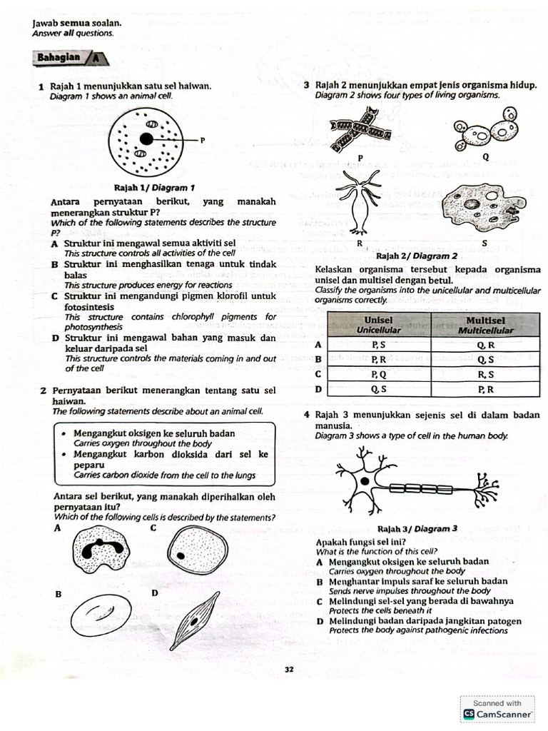 EX Science Form 1 - Bab 2 | PDF