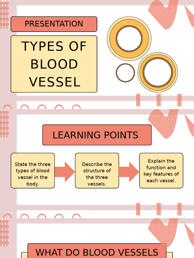 Blood Vessels Biology Presentation in A Pink Simple Style 2 | PDF ...