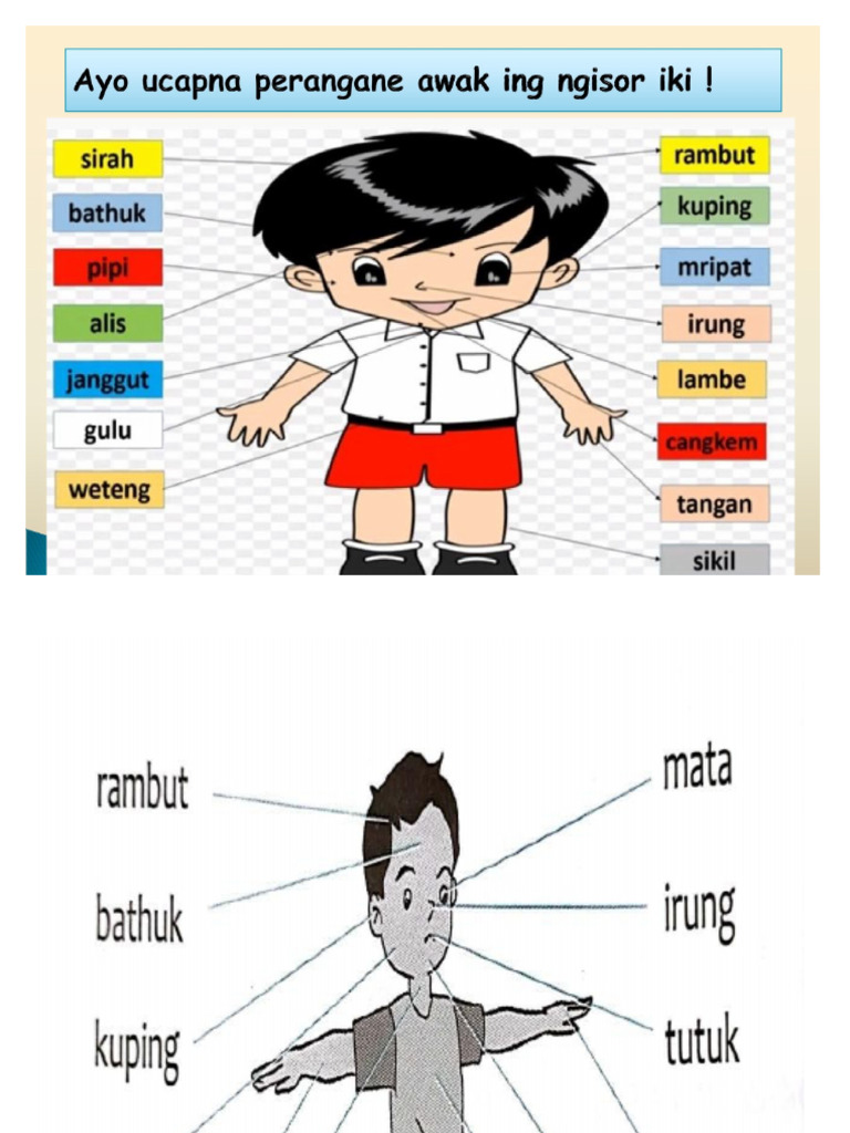 Perangan Awak | PDF