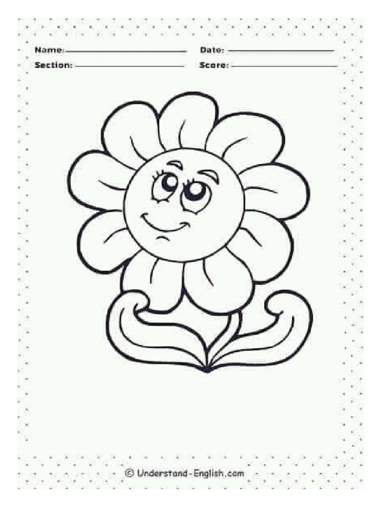 Color The Pictures | PDF