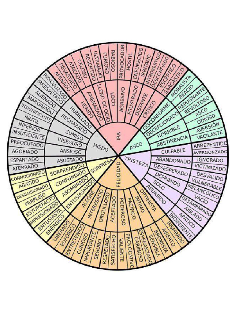 RULETA DE EMOCIONES | PDF