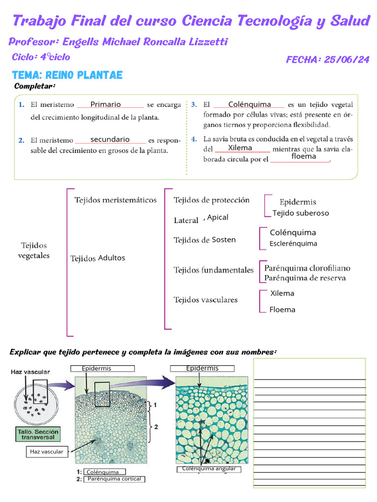 Cts Final Final | PDF