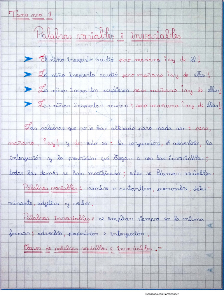 Palabras Variables e Invariables | PDF