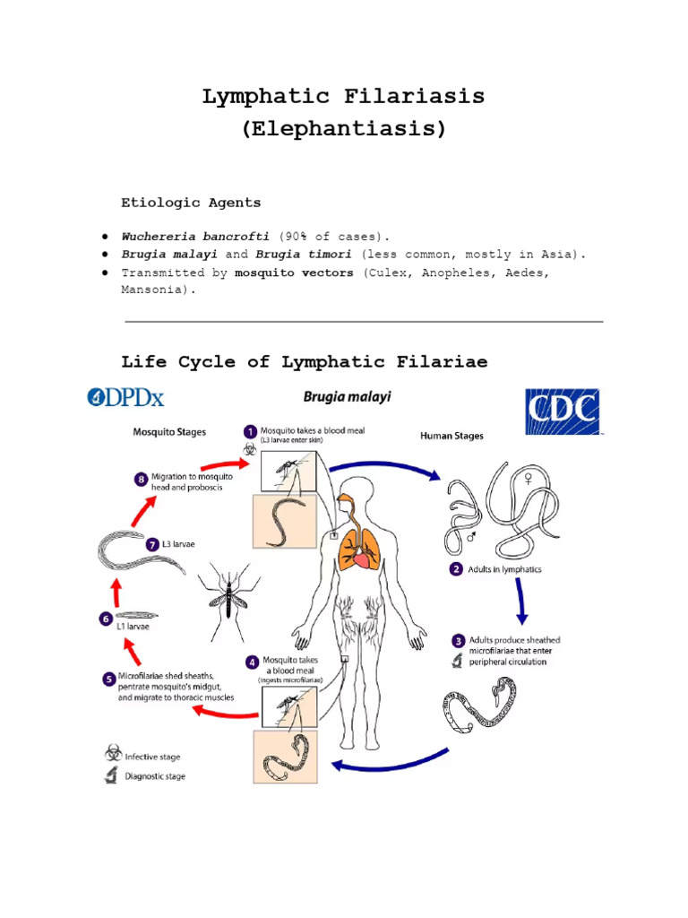 Lymphatic Filariasis (Elephantiasis) | PDF | Medical Specialties ...