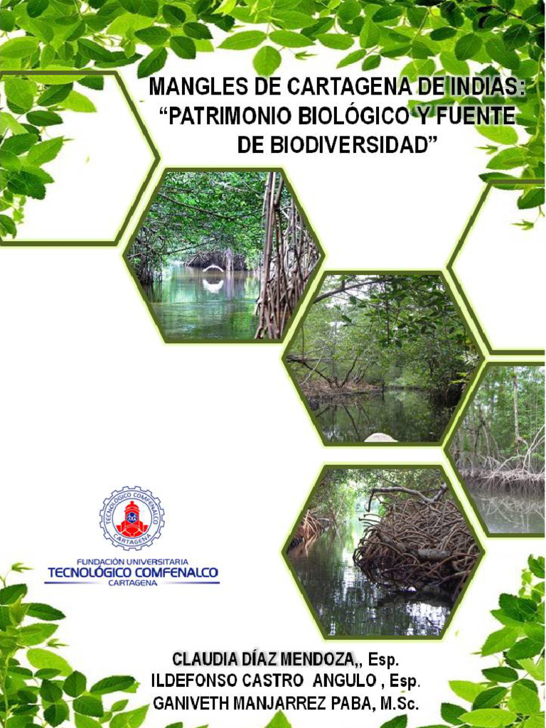 Mangles de Cartagena | PDF | Mangle | Agua
