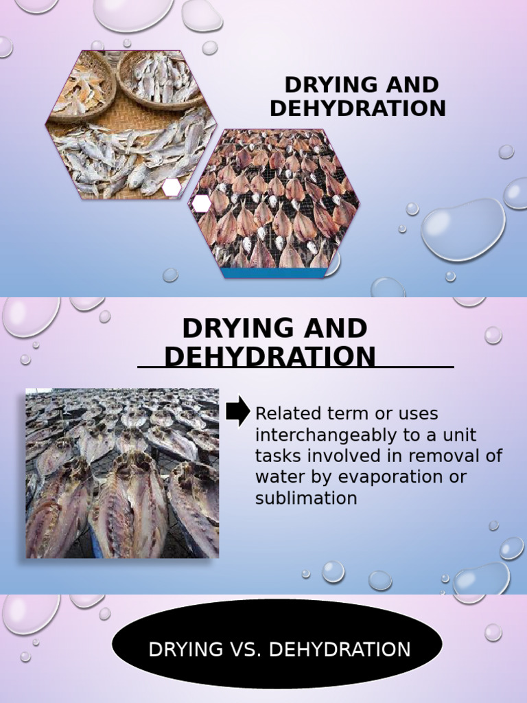 Drying vs Dehydration in Food Processing | PDF | Decomposition | Phase ...
