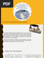 Anatomía y Cuidado de la Rata Wistar | PDF