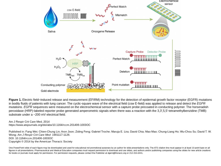 10.1164-rccm.201406-1003OCFigure1 | PDF