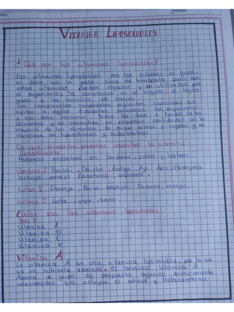 Vitamina Liposoluble | PDF