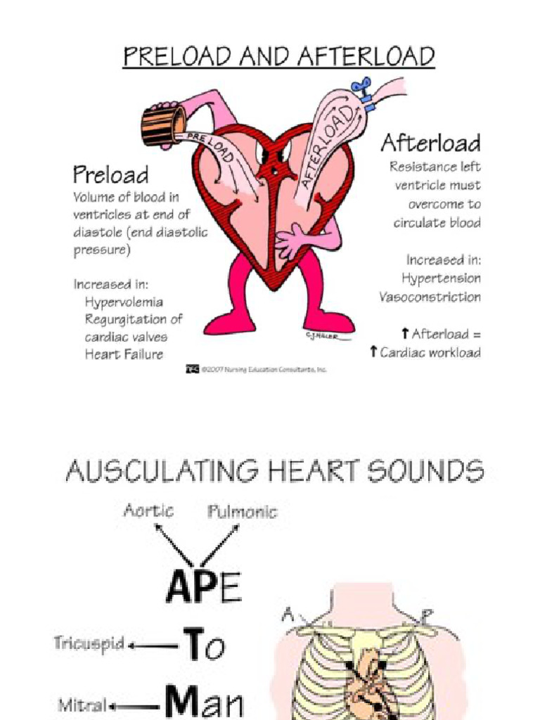 Handout Cardiac | PDF