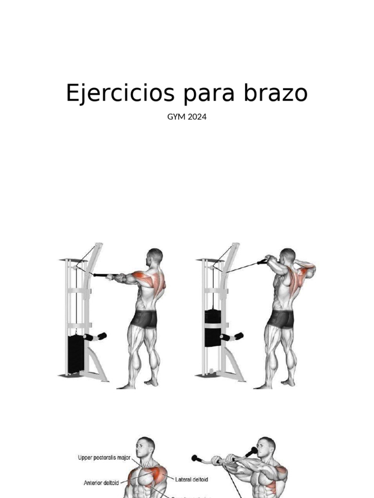 Brazo en Gym Tiempo Reducido | PDF