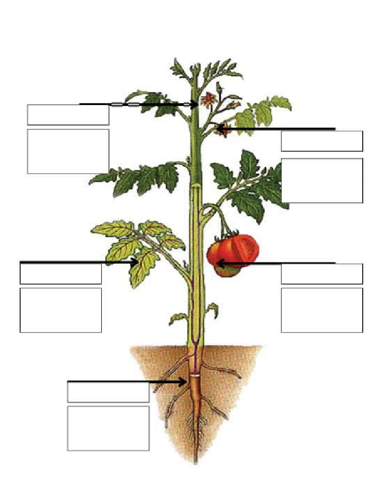 Media Kongkrit | PDF