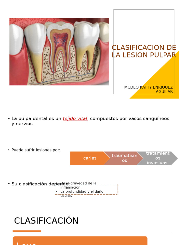 Clasificación de Lesiones Pulpares | PDF | Medicina | Enfermedades y ...