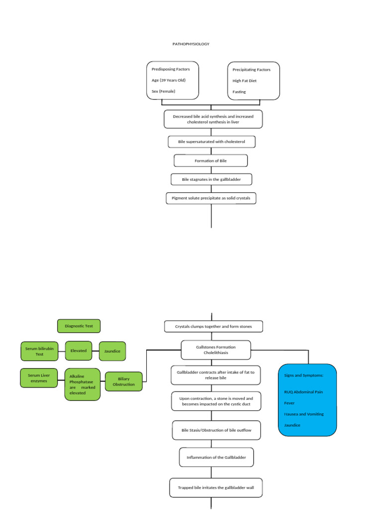 Acute Cholecystitis Pathophysiology | PDF | Gallbladder | Bile