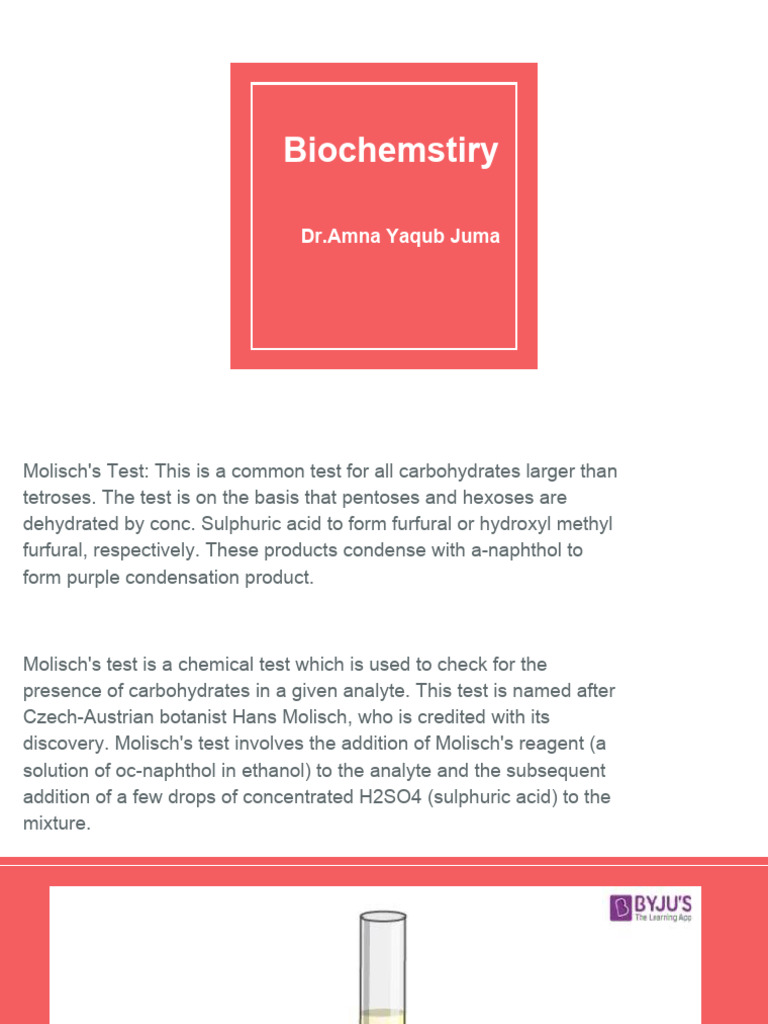 Recipe Book | PDF | Carbohydrates | Chemistry