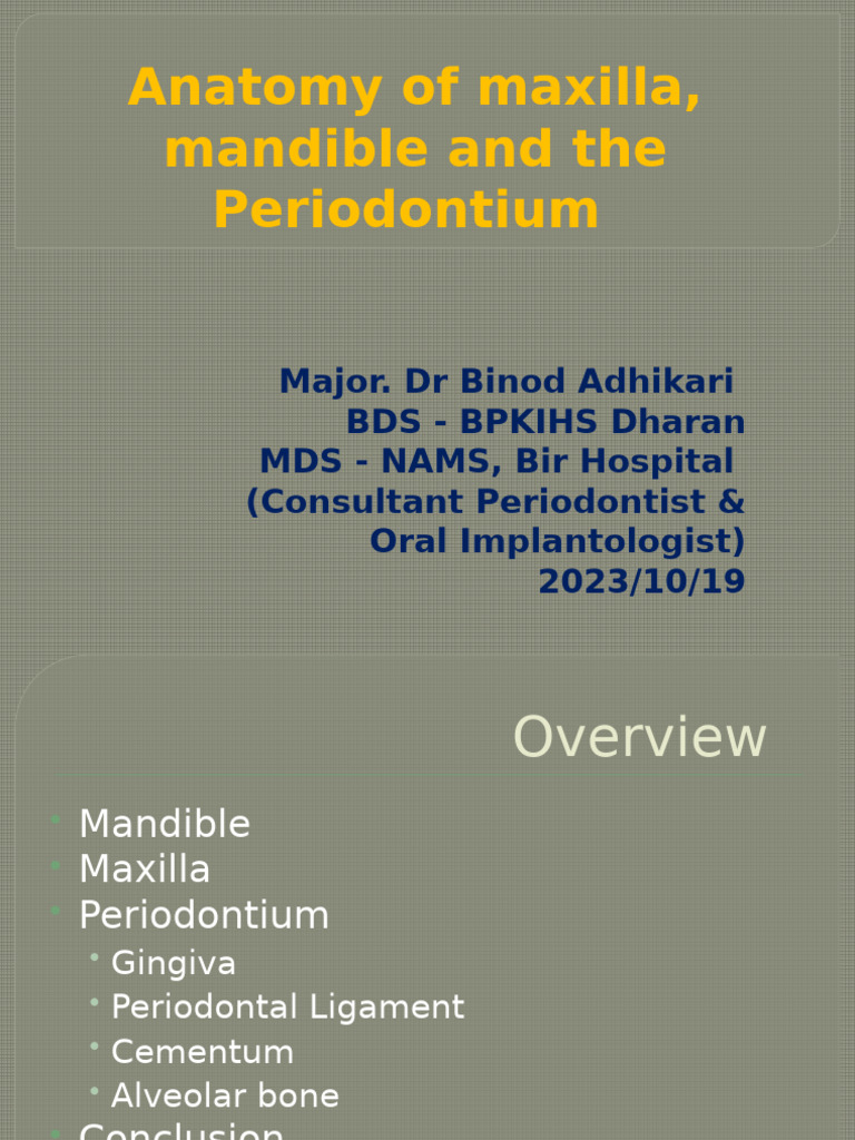 Anatomy of Maxilla, Mandible and The Periodontium | PDF | Human Tooth ...