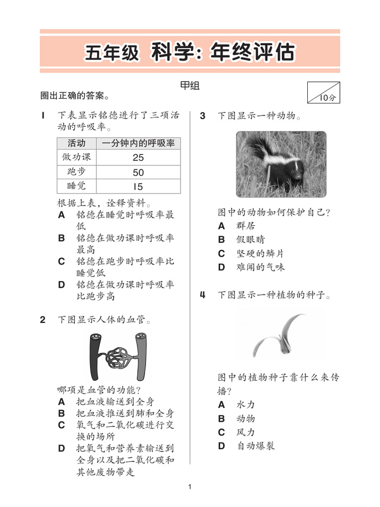 Y5 SC YearEnd 练习题 | PDF