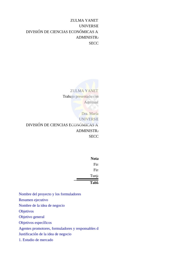 2021 Zulma Rojas | PDF | Plan de negocios | Iniciativa empresarial