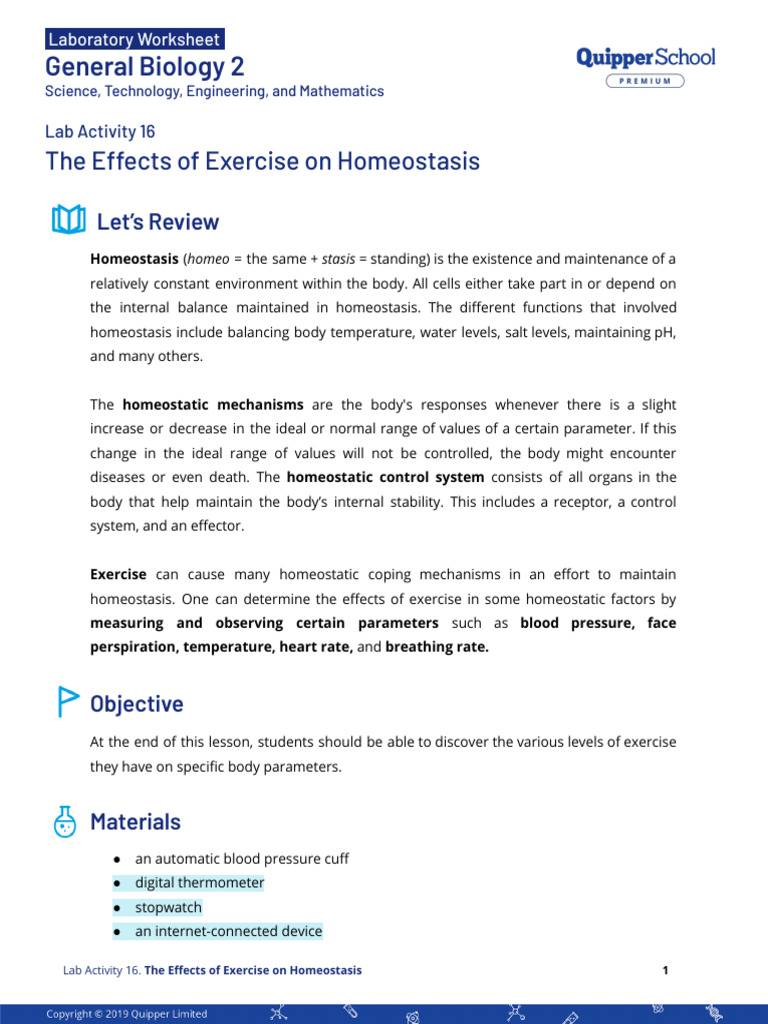 Exercise and Homeostasis Effects | PDF | Homeostasis | Nonverbal ...