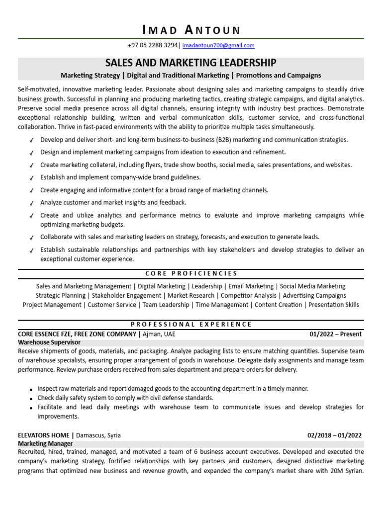 Imad Antoun Resume 2023 3 | PDF | Customer Relationship Management | Audit