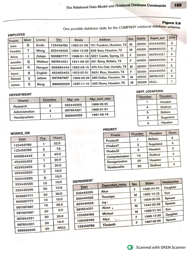 Company Schema - DBMA | PDF